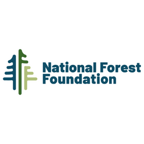 What is the difference between a passive vs active fall arrest system?